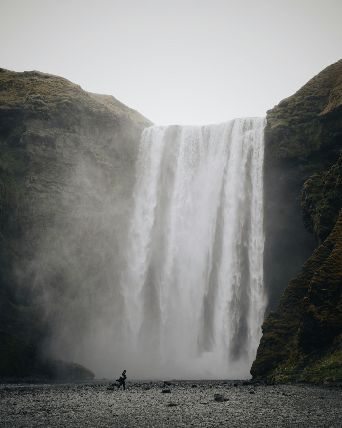 Backatcha Cleanse + Calm | Pfeffer Sal Advanced Skin Treatments